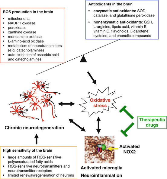 Oxidative Stress, Neuroinflammation, and Neurodegeneration | SpringerLink