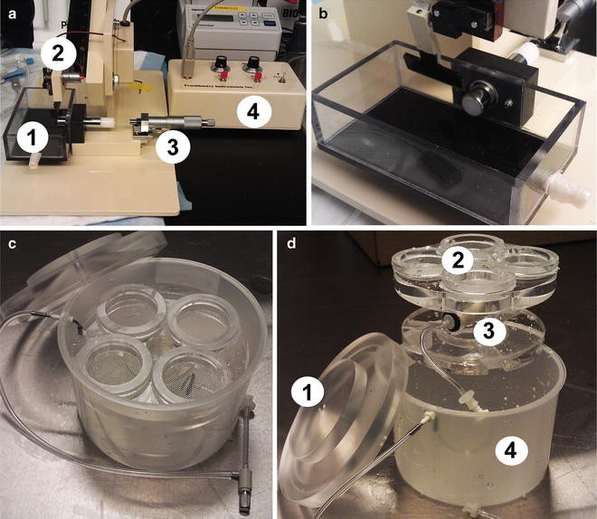 Acute Brain Slice Methods for Adult and Aging Animals: Application of ...