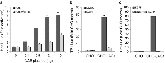 Monitoring Notch Activation in Cultured Mammalian Cells ...
