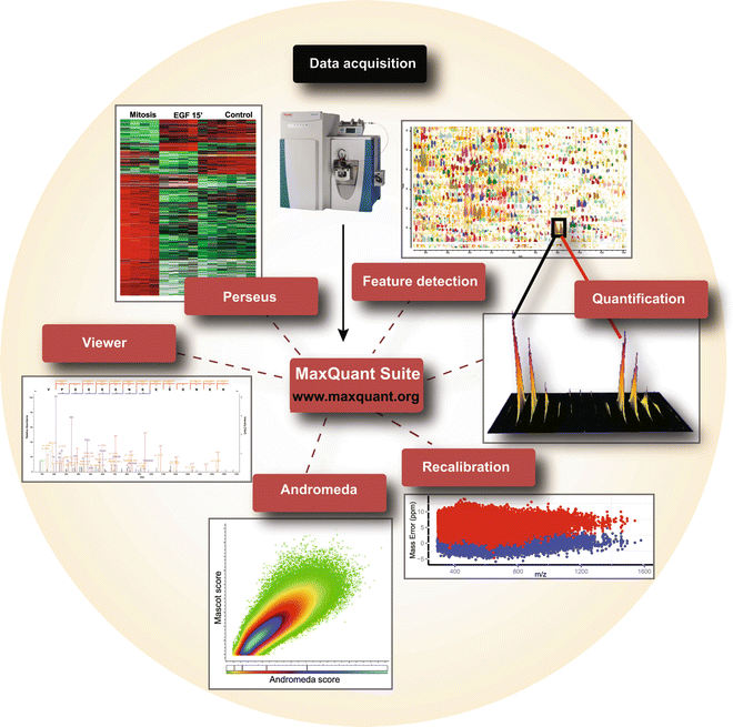 MaxQuant for In-Depth Analysis of Large SILAC Datasets | SpringerLink