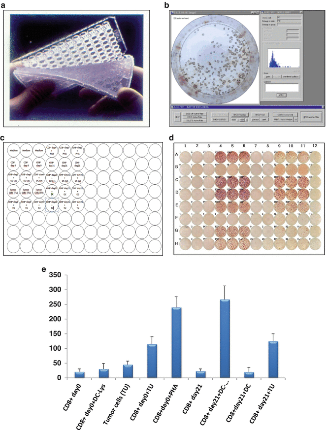 CTL ELISPOT Assay | SpringerLink