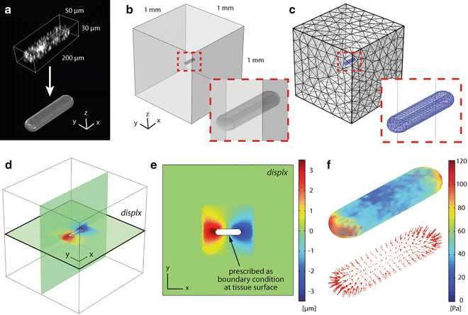 Three-Dimensional Traction Force Microscopy of Engineered Epithelial ...
