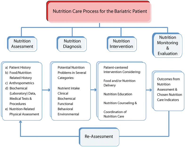 Perioperative Nutrition Assessment of the Bariatric Surgery Patient ...