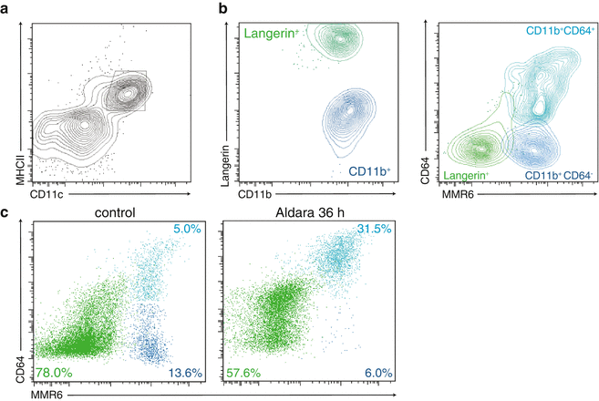 Aldara-Induced Psoriasis-Like Skin Inflammation: Isolation and ...