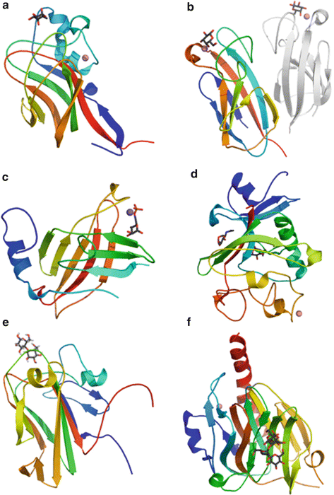 Lectin Structures: Classification Based on the 3-D Structures ...