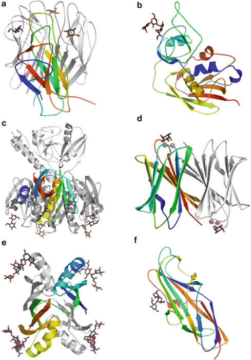 Lectin Structures: Classification Based on the 3-D Structures ...