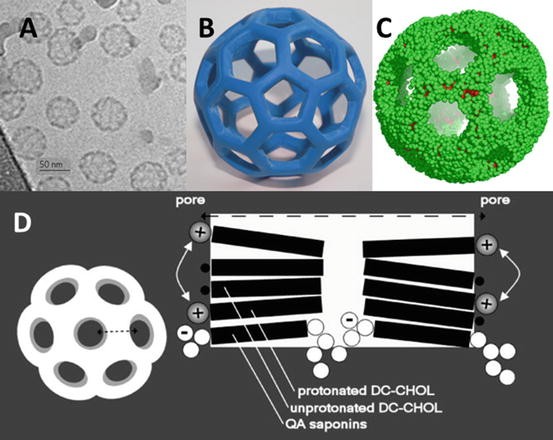 ISCOMs as a Vaccine Delivery System | SpringerLink