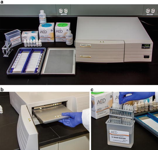 Quantitative Ultrasensitive Bright-Field RNA In Situ Hybridization with ...
