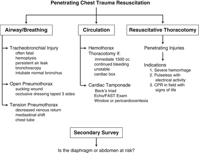 Penetrating Chest Trauma | SpringerLink