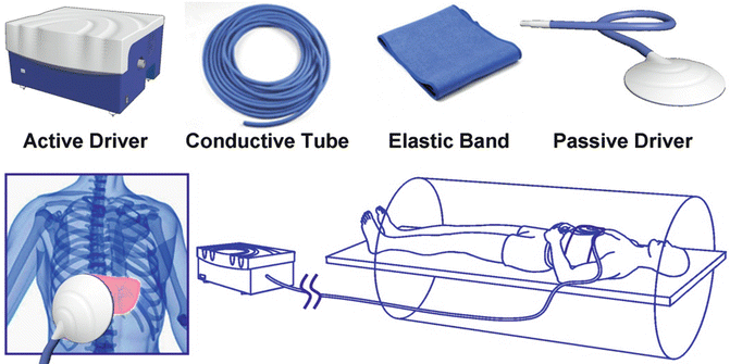 Liver Magnetic Resonance Elastography Technique | SpringerLink