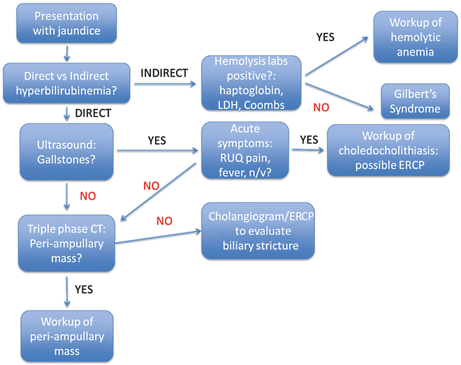 New Onset of Painless Jaundice | SpringerLink