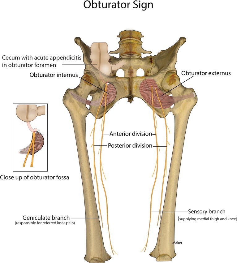 Abdominal Pain | SpringerLink