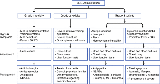 Intravesical Therapy | SpringerLink