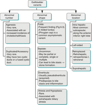 The Gallbladder | SpringerLink