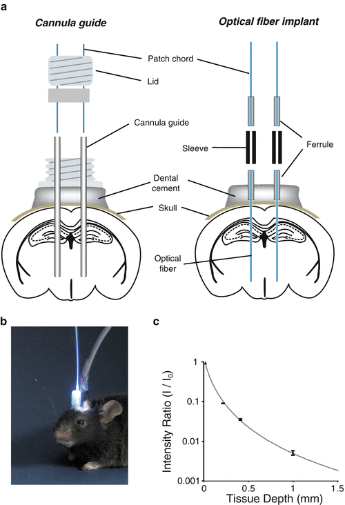 Optogenetic Dissection of Neural Circuit Function in Behaving Animals ...