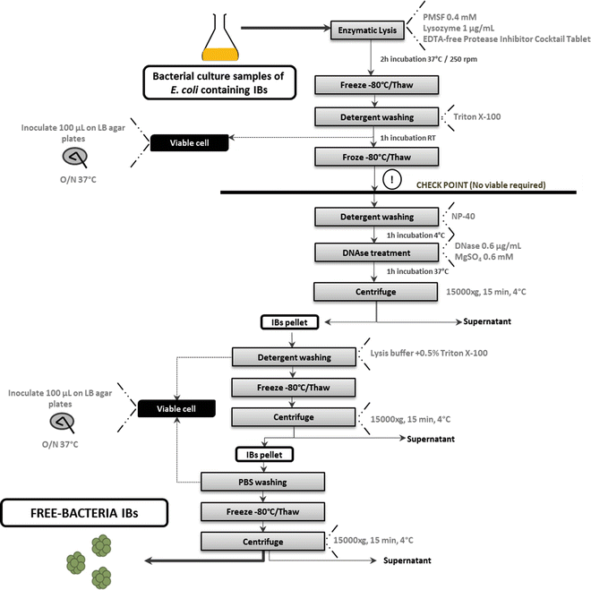 Bacterial Inclusion Body Purification | SpringerLink