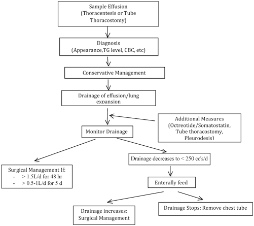 Chyle Leak After Esophageal Surgery | SpringerLink
