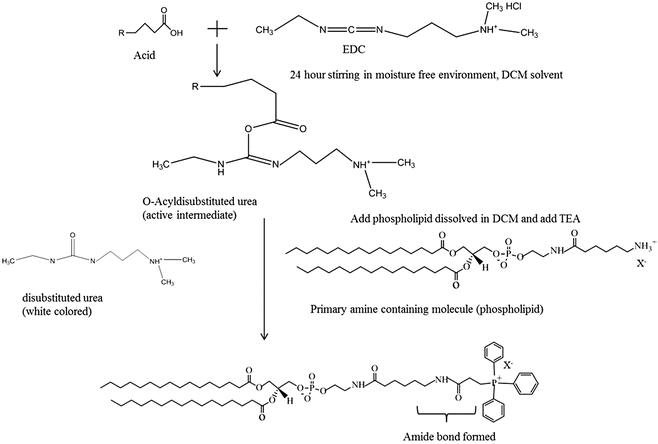 Synthesis of Triphenylphosphonium Phospholipid Conjugates for the ...