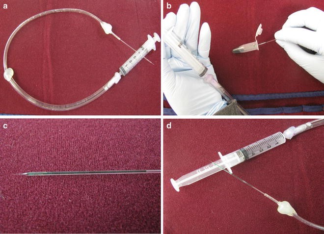 Gene Therapy in Spinal Muscular Atrophy (SMA) Models Using ...