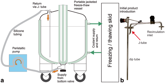 Drug Substance Frozen Storage and Thawing | SpringerLink
