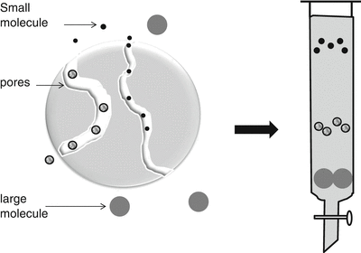 Detecting Protein-Protein Interactions by Gel Filtration Chromatography ...