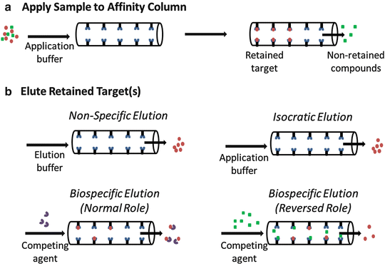 Affinity Chromatography: A Historical Perspective | SpringerLink
