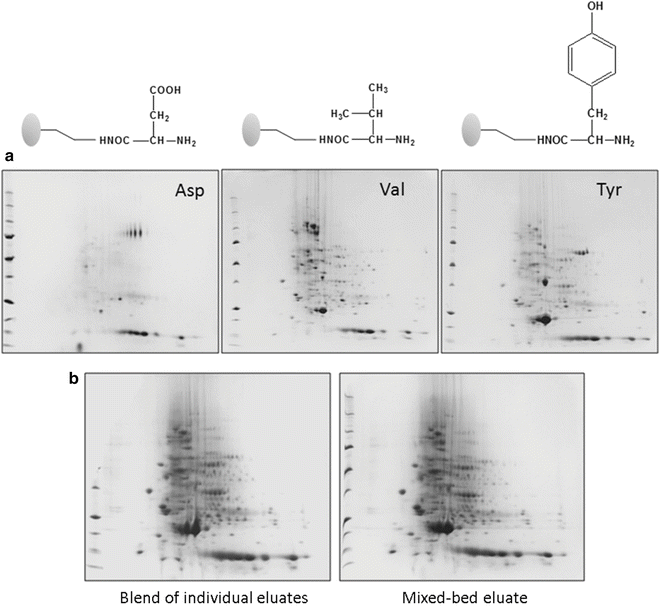 Mixed-Bed Affinity Chromatography: Principles and Methods | SpringerLink