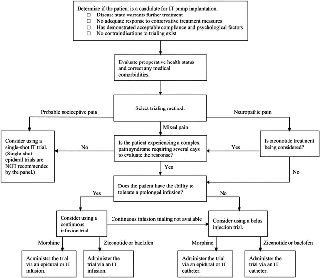 Intrathecal Drug Delivery Systems | SpringerLink