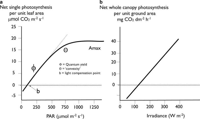 Crop Radiation Capture and Use Efficiency | SpringerLink