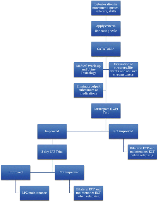 Catatonia in Psychiatric Illnesses | SpringerLink