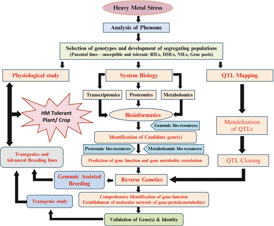 Analysis of Signaling Pathways During Heavy Metal Toxicity: A ...