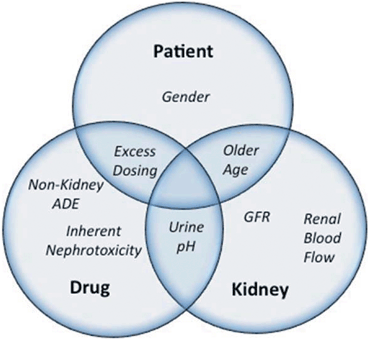 Nephrotoxicity of Chemotherapy Agents | SpringerLink