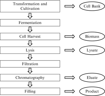 Production of Plasmid DNA as Pharmaceutical | SpringerLink