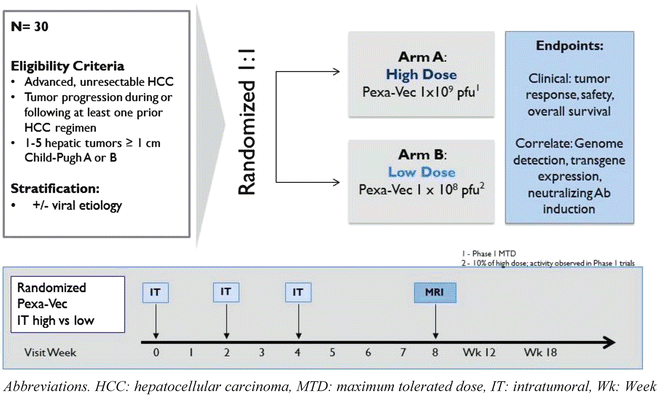 A Phase 2, Open-Label, Randomized Study of Pexa-Vec (JX-594 ...