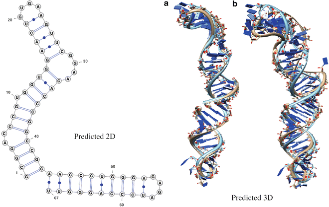 A Method to Predict the 3D Structure of an RNA Scaffold | SpringerLink