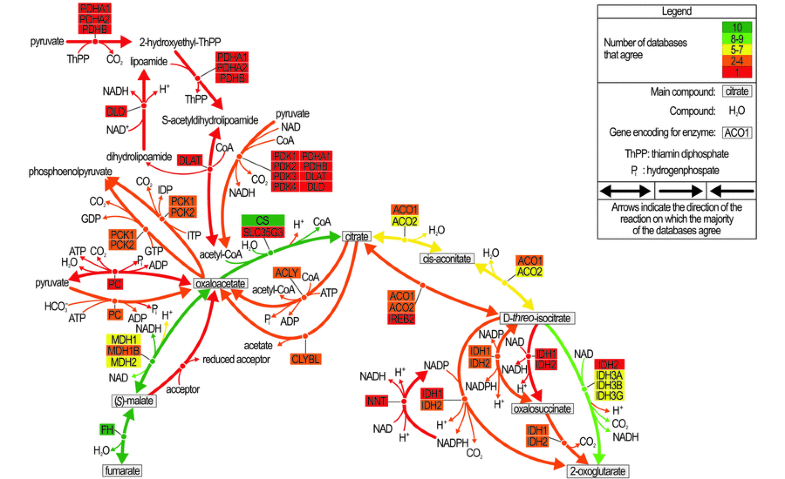 Metabolic Pathway Databases: A Word of Caution | SpringerLink