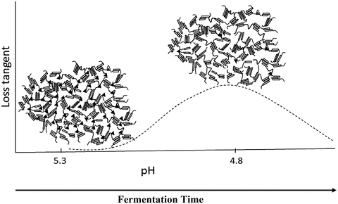Acid Coagulation of Milk | SpringerLink