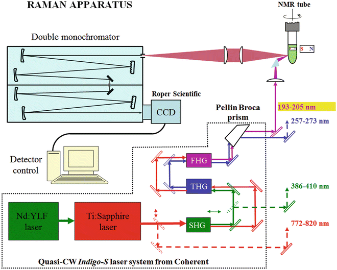 Deep UV Resonance Raman Spectroscopy for Characterizing Amyloid ...