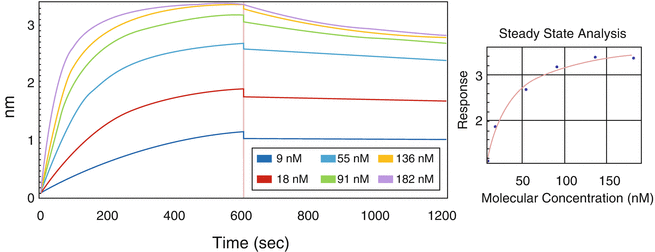 Biolayer Interferometry: A Novel Method to Elucidate Protein–Protein ...