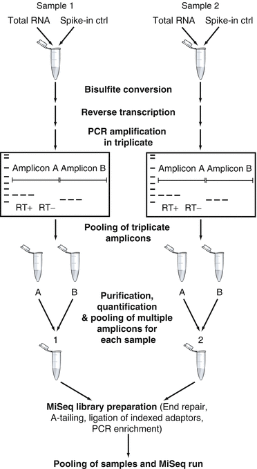 Nucleotide-Level Profiling of m5C RNA Methylation | SpringerLink