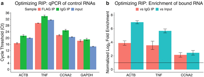 Identifying RBP Targets with RIP-seq | SpringerLink