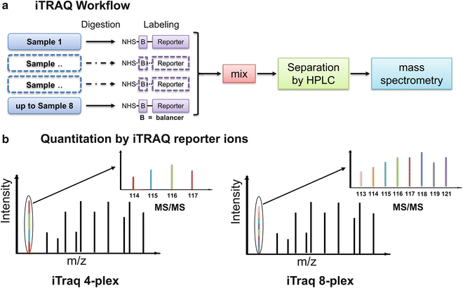 Dissecting the iTRAQ Data Analysis | SpringerLink