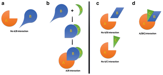Yeast Three-Hybrid System for the Detection of Protein-Protein ...
