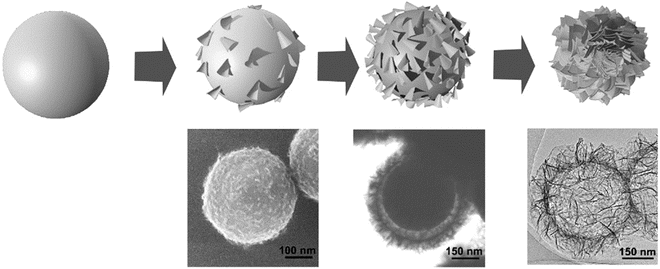 Silica Nanomaterials | SpringerLink
