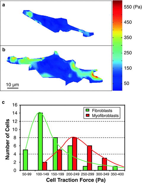 The Study of Cell Motility by Cell Traction Force Microscopy (CTFM ...