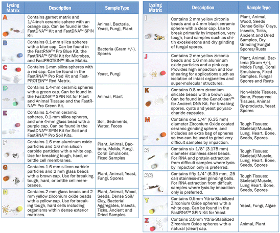 High Performance Bead Beating Based Lysing, Homogenization and Grinding ...