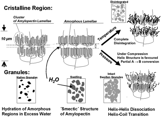 Pressure Gelatinization of Starch | SpringerLink