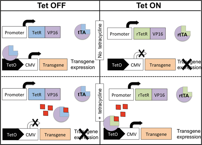 Regulated Gene Therapy | SpringerLink