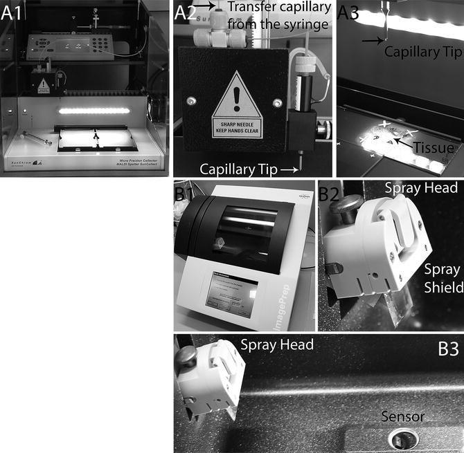 Tissue MALDI Mass Spectrometry Imaging (MALDI MSI) of Peptides ...