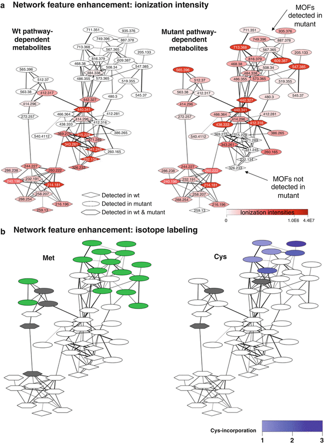 Secondary Metabolic Pathway-Targeted Metabolomics | SpringerLink